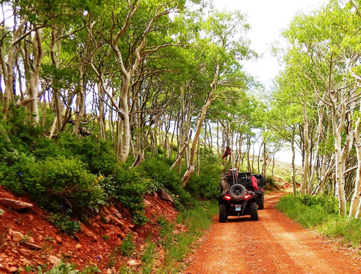ATV Adventures: Millard County presents the 39th National ATV/UTV ...